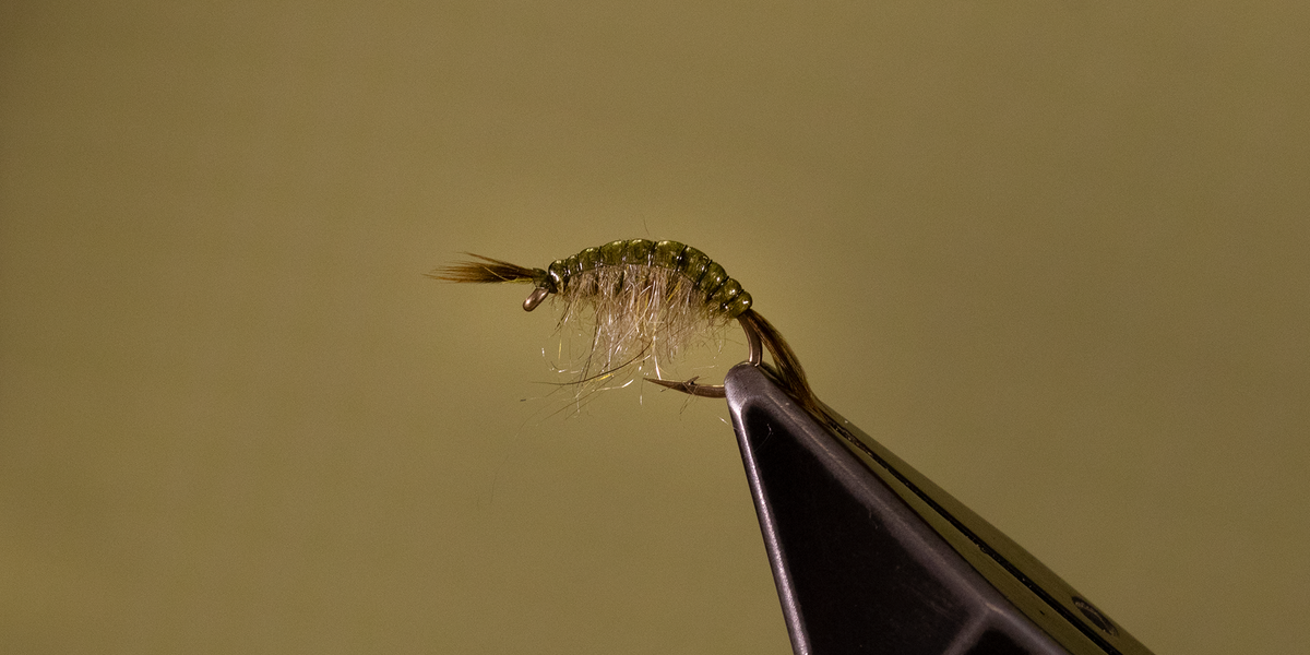 Fly Tying Tutorial - Simple Scud — Precisionflyandtackle
