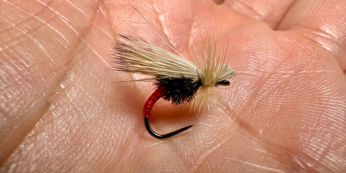 Fly Tying Tutorial - Coachman Caddis — Precisionflyandtackle