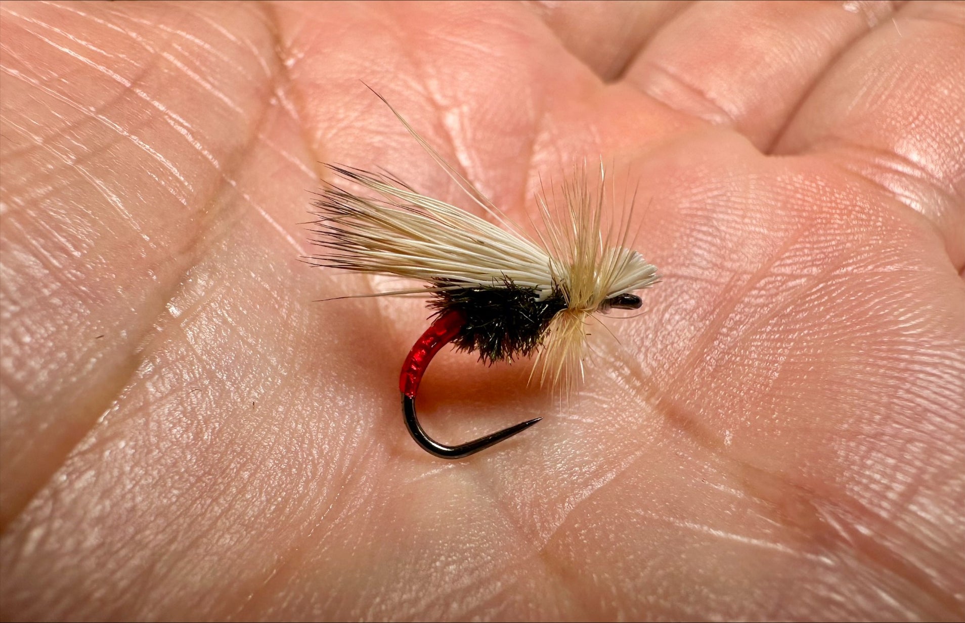 Fly Tying Tutorial - Coachman Caddis — Precisionflyandtackle