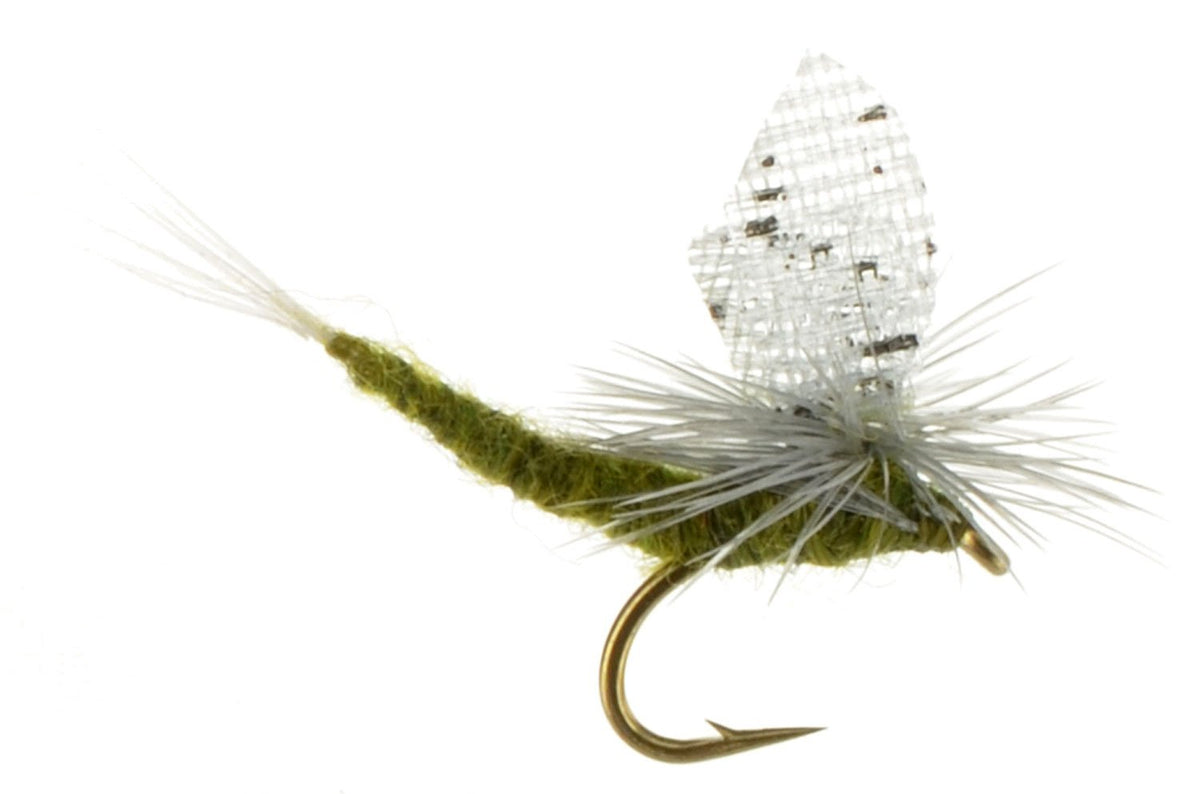 Blue-winged Olive Extended Body — Precisionflyandtackle