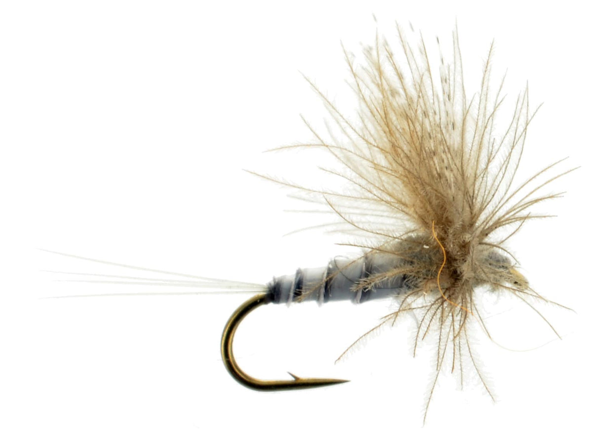 CDC Biot Comparadun - Grey — Precisionflyandtackle