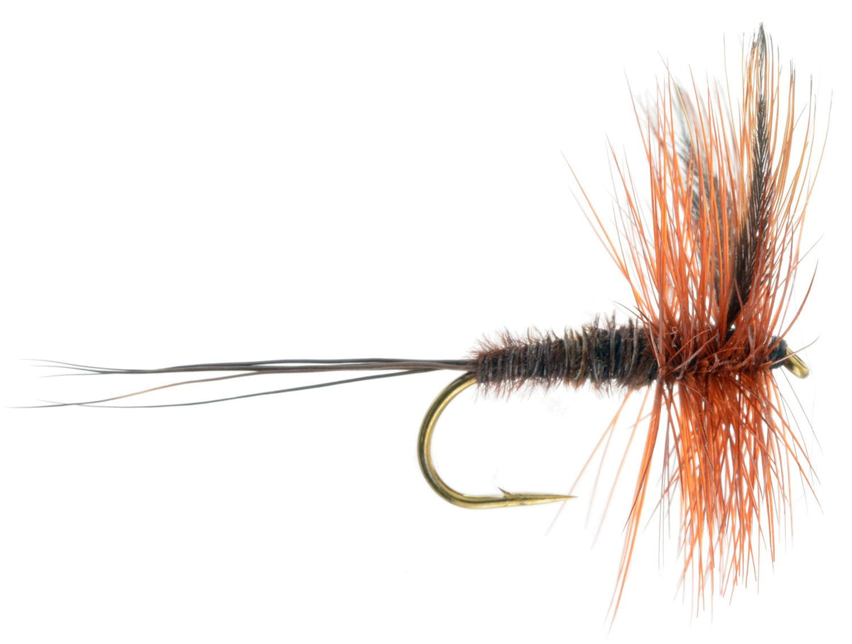 Dark Henny — Precisionflyandtackle