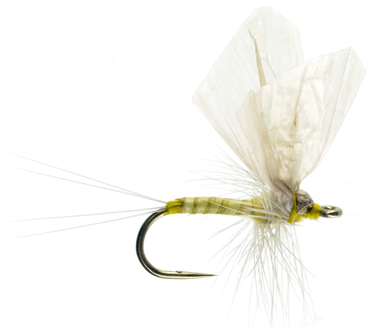 Hackle Dun - PMD — Precisionflyandtackle
