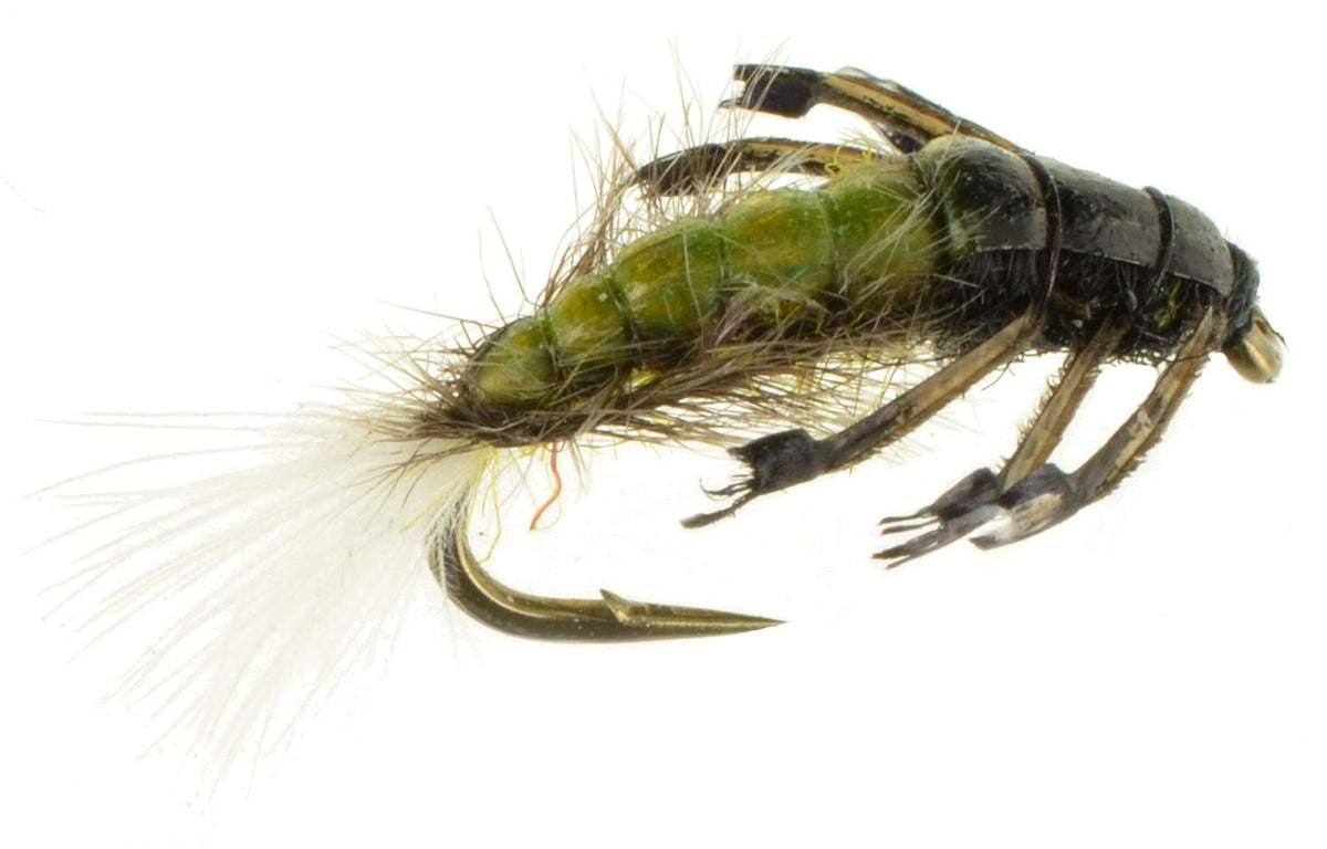 Hydropsyche Caddis Larva — Precisionflyandtackle