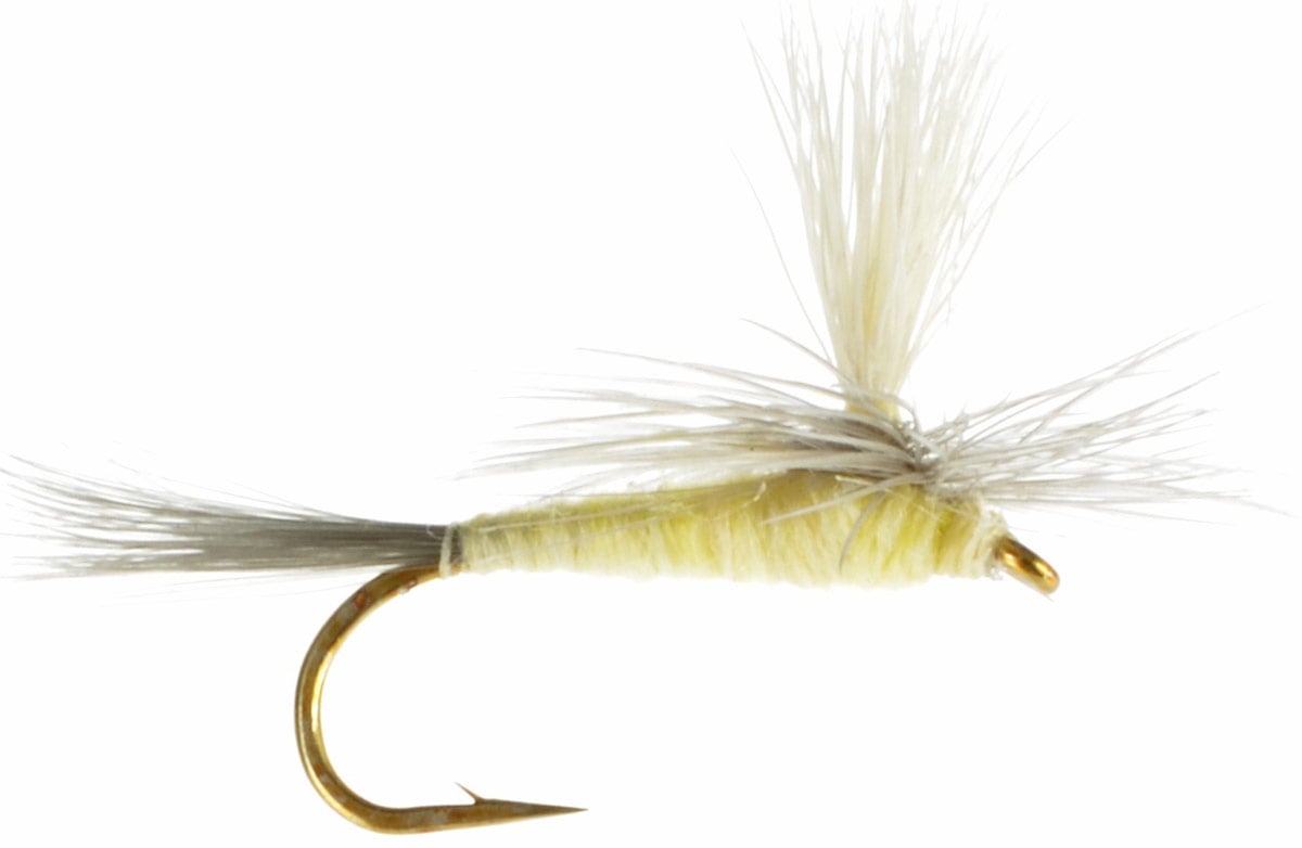 Parachute Pale Morning Dun — Precisionflyandtackle
