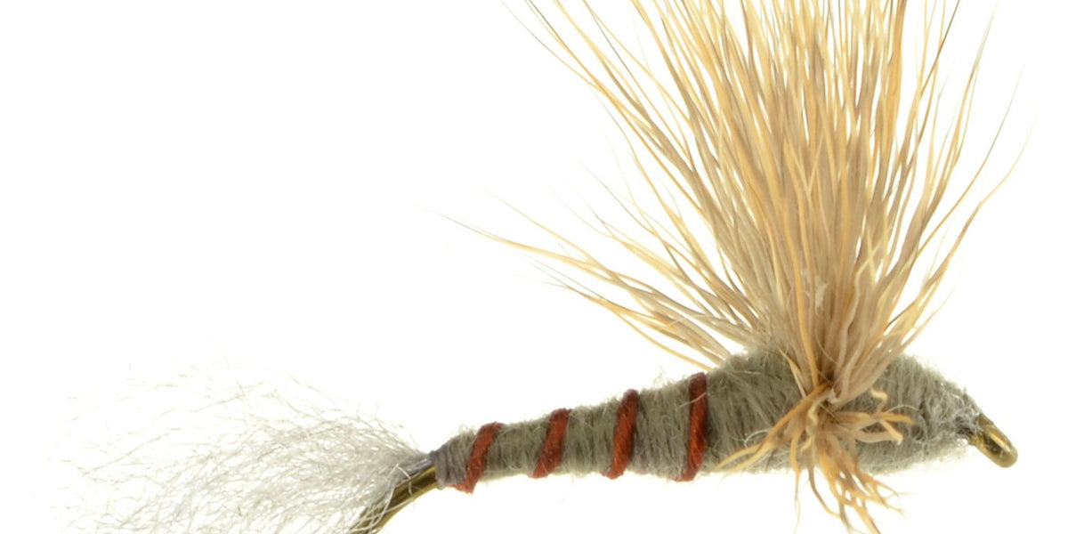 Sparkle Dun - Grey Drake — Precisionflyandtackle
