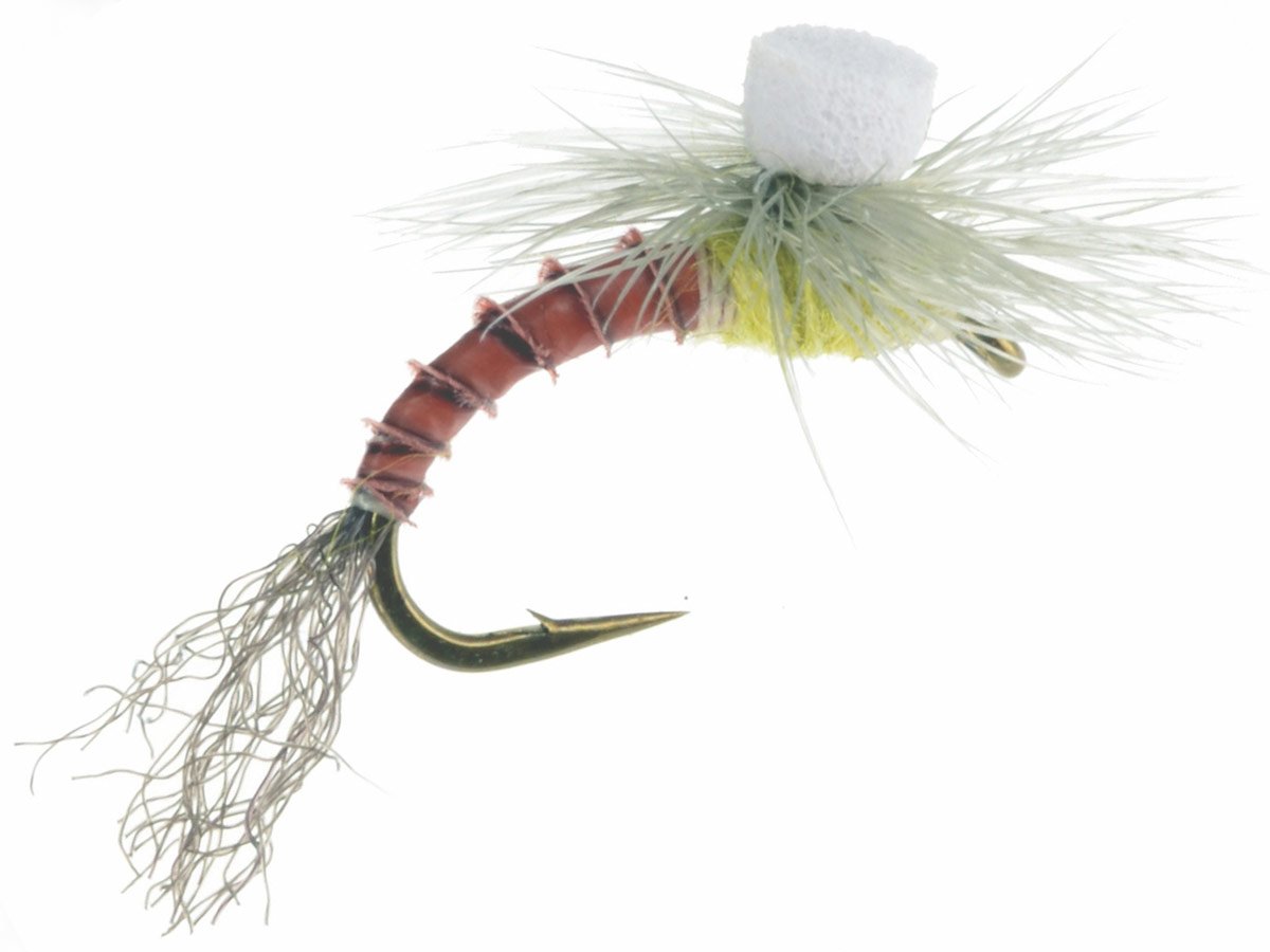 Sprout - Pale Morning Dun — Precisionflyandtackle