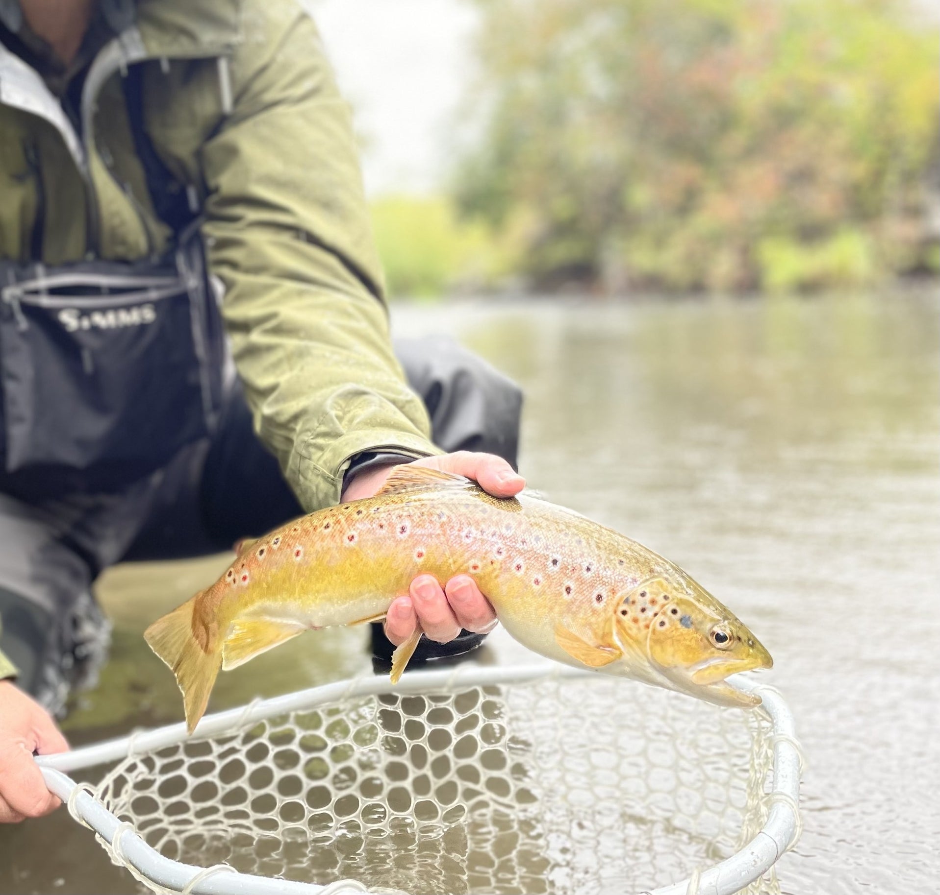 Precision Fly and Tackle is a Full Service Fly Shop in Pennsylvania — Precisionflyandtackle